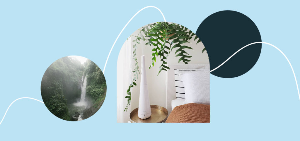 How to Use a Humidifier & How Does it Work? - Homedics Blog